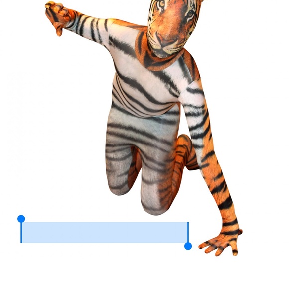 animal planet | Costumes | Animal Planet Kids Tiger Morphsuit | Poshmark